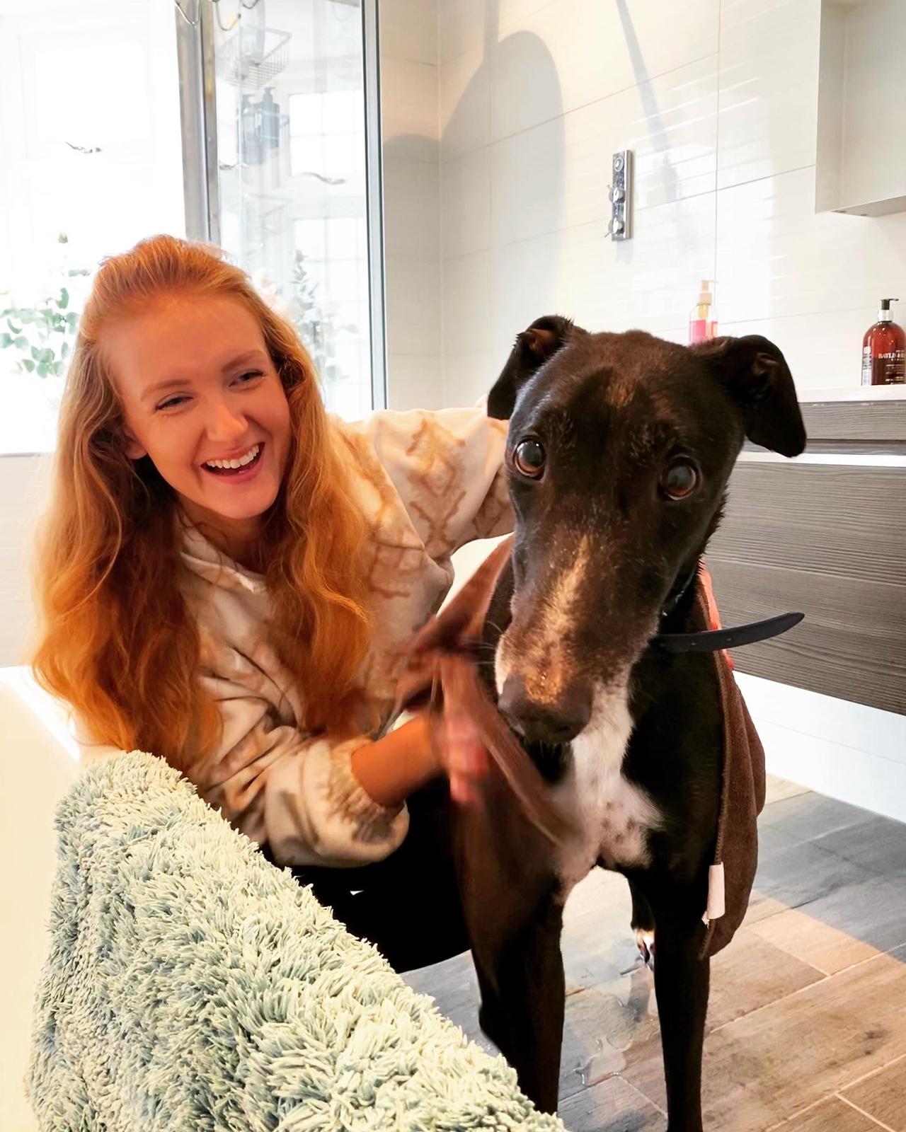 Berry's Wonder Hounds – Personal stories, anecdotes and tips from my ...