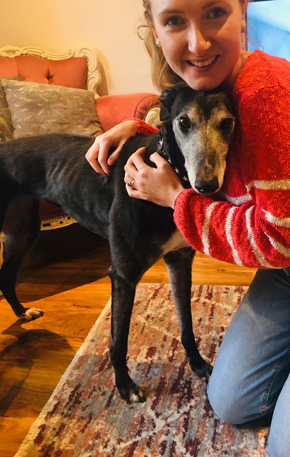 Black Greyhounds and Their Struggle – Berry's Wonder Hounds