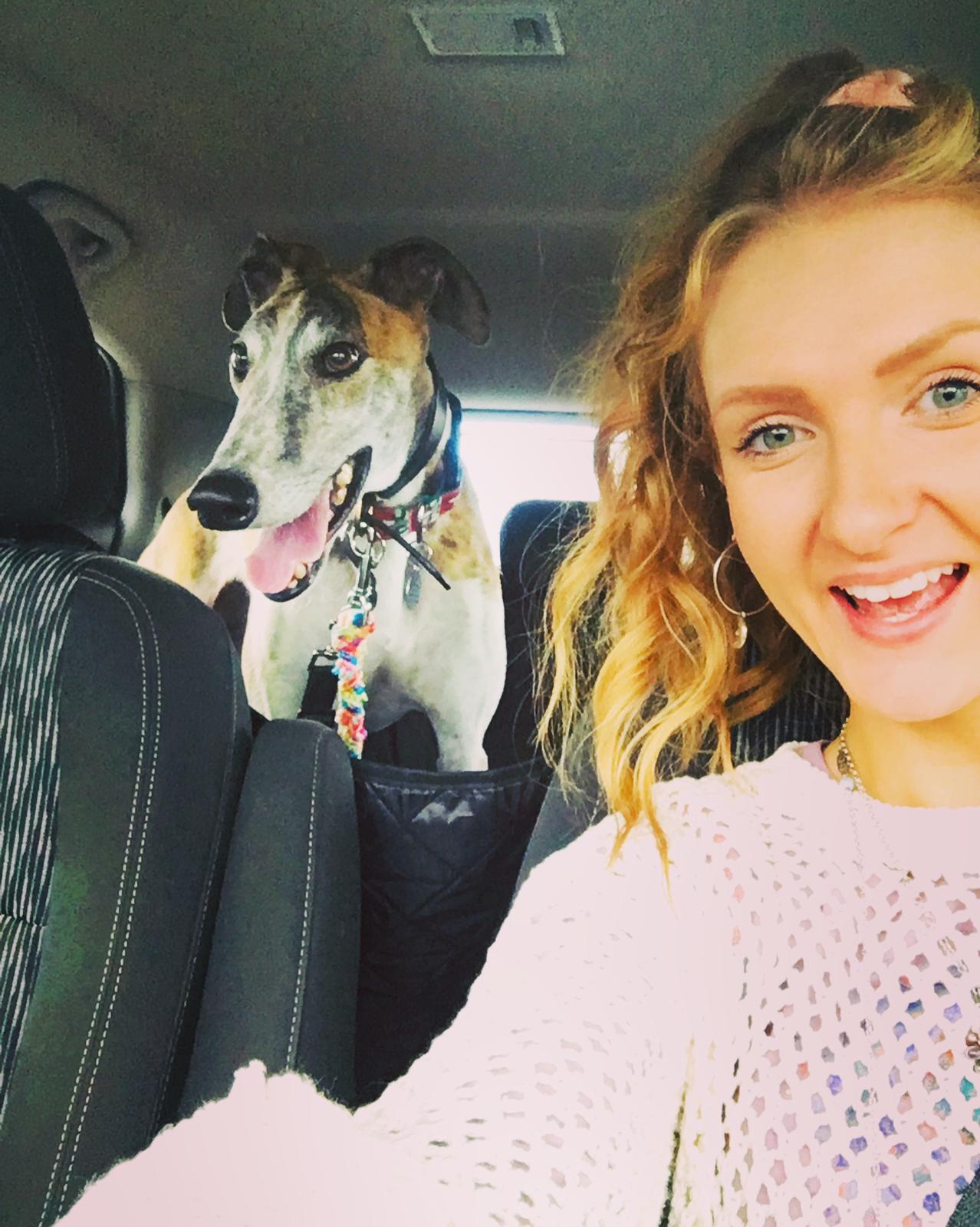 Walking a Nervous Greyhound – Berry's Wonder Hounds